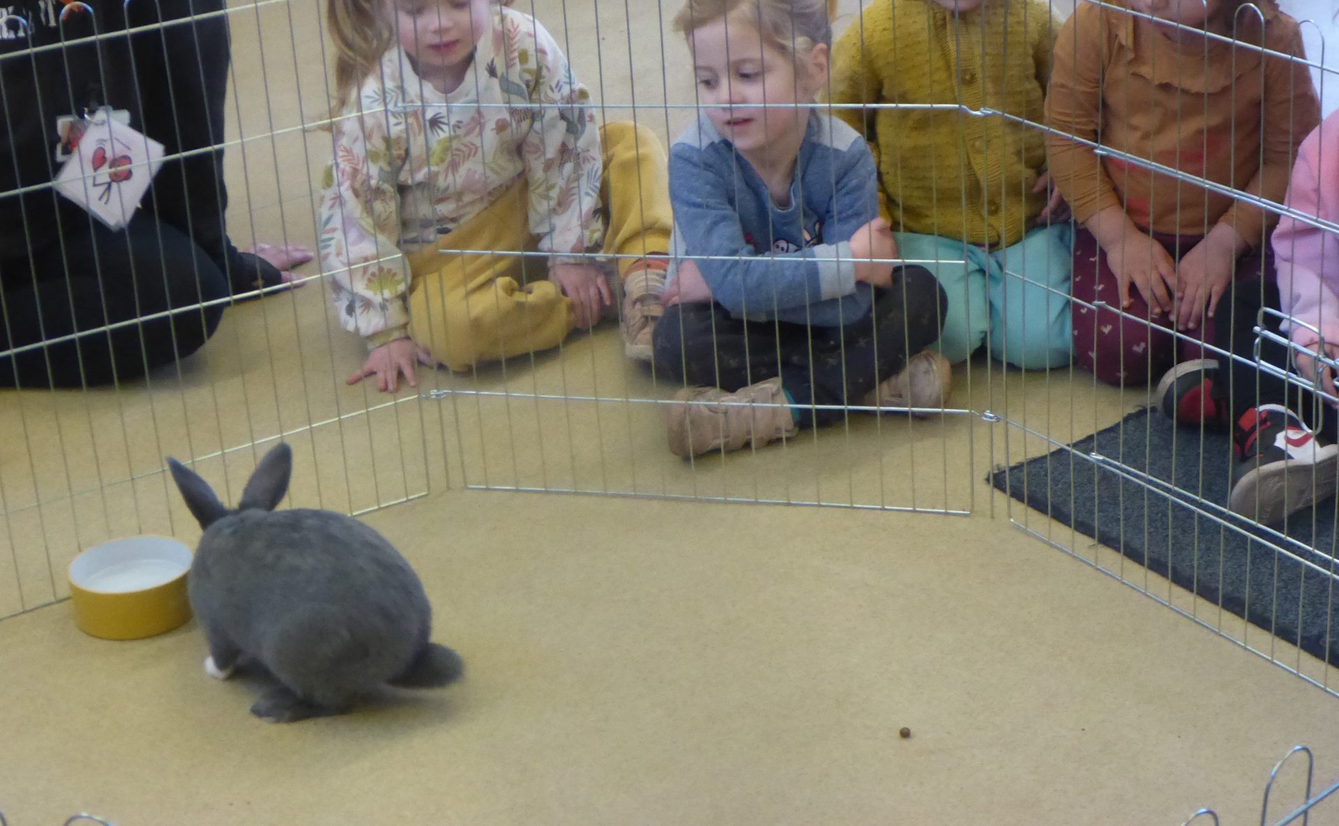Visit from Poppy's rabbit - St Philips Marsh Nursery School